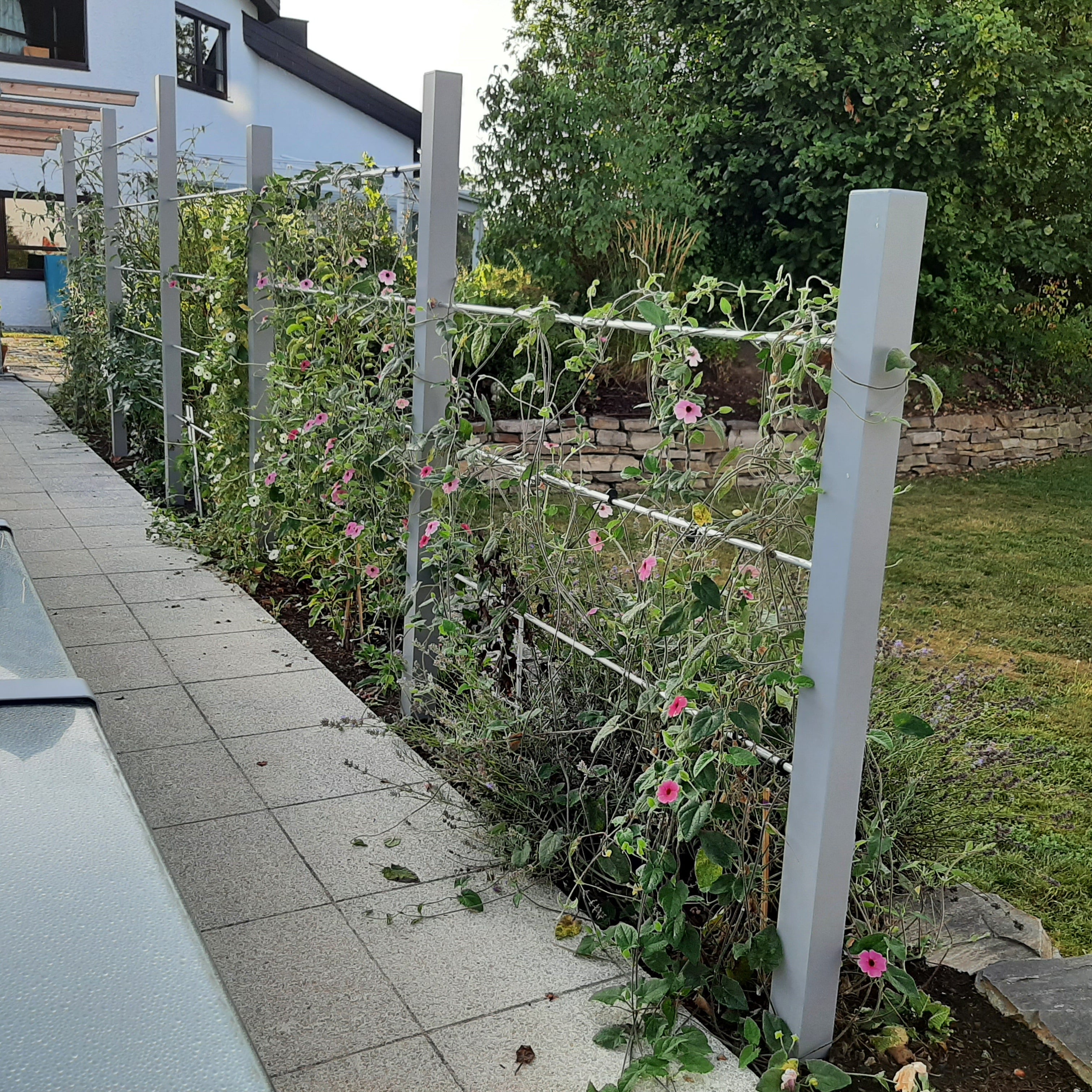 Design Rankhilfe & Rankgitter aus Metall – Sichtschutz